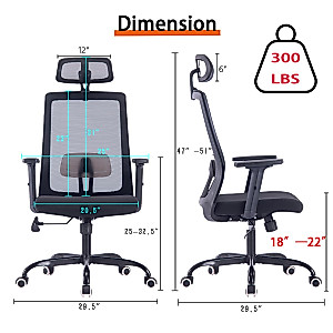 Whiterye Office Chair Lumbar Support Mesh Office Chair Swivel Desk Chair with Adjustable headrest and Armrest Ergonomic High Back Office Chair,Black.