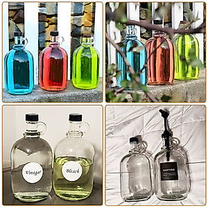 DESIYUE 2 Pack 64oz Glass Gallon Jugs with Handle and Black Plastic Lids, Half-Gallon, Gallon Glass Fermenting Jug, Glass Water Jug for Kombucha, Home Brew, Vanilla Extract, Beer, Soda,Cider (Clear)