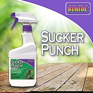 Bonide Sucker Punch, 16 oz Ready-to-Use Spray, Control Unwanted Plant Sprouts, Plant Growth Regulator for Home Garden