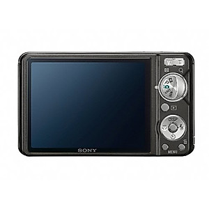 Sony Cyber-shot DSC-W290 12.1 MP Digital Camera with 5x Optical Zoom and Super Steady Shot Image Stabilization (Black) (Discontinued by Manufacturer)