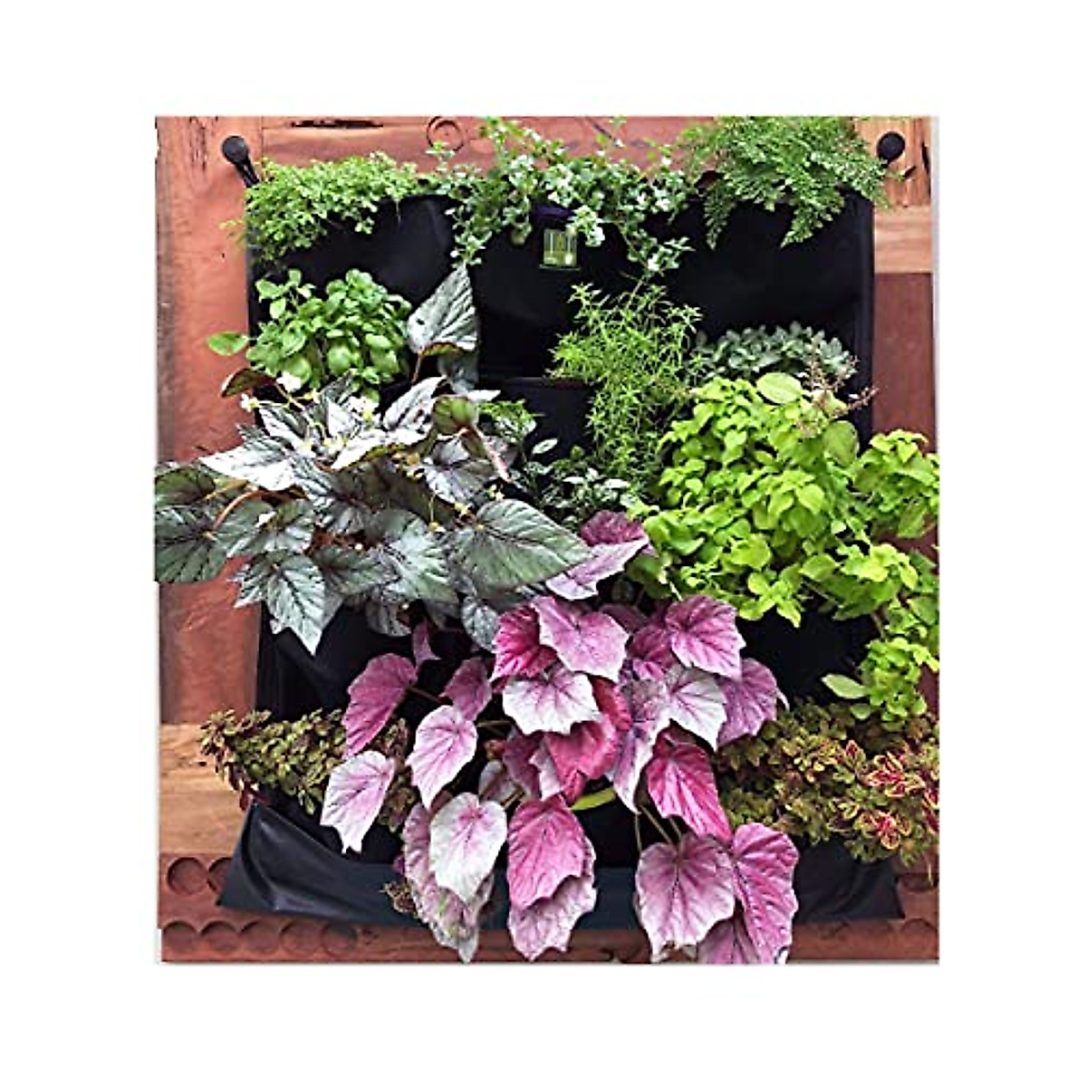 12 Pocket Indoor Waterproof Vertical Living Wall Planter