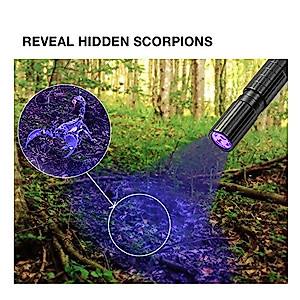infray Pen Flashlight Black Light, Zoomable, Small 395nm Blacklight Detector for Dog Urine & Dry Stain. IPX5 Water-Resistant, Powered by 2AAA Batteries