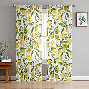 AMZRicher Lemon Sheer Curtains 72 Inch Length 2 Panels Set, Summer Garden Fruit Lemon Slice and Leaves Semi Transparent Voile Rod Pocket Curtains for Living Dining Room Bedroom Drapes