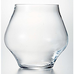 Luigi Bormioli Supremo 15.25 oz Pinot Noir Stemless Wine Glasses (Set of 2), Clear, 11281/02