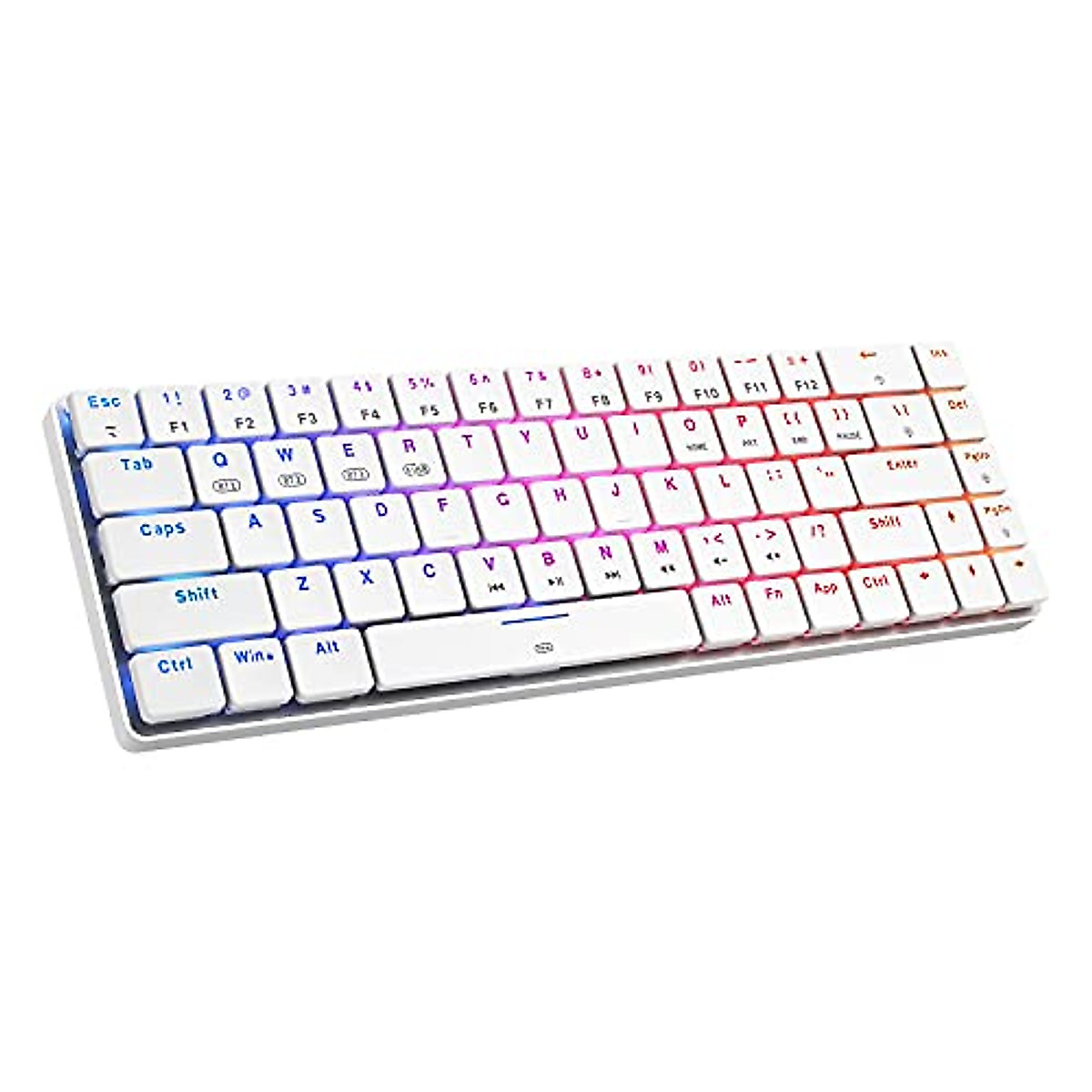 HUO JI 60% Compact RGB Wireless Mechanical Gaming Keyboard, Blue Switches, Bluetooth 5.0, Wired Keyboard 69 Keys for PC Tablet Laptop Cell Phone, White