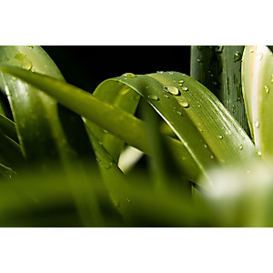 TAMRON - 18-300mm F/3.5-6.3 Di III-A VC VXD - Zoom Lens for APS-C mirrorless Sony Cameras - Model B061S