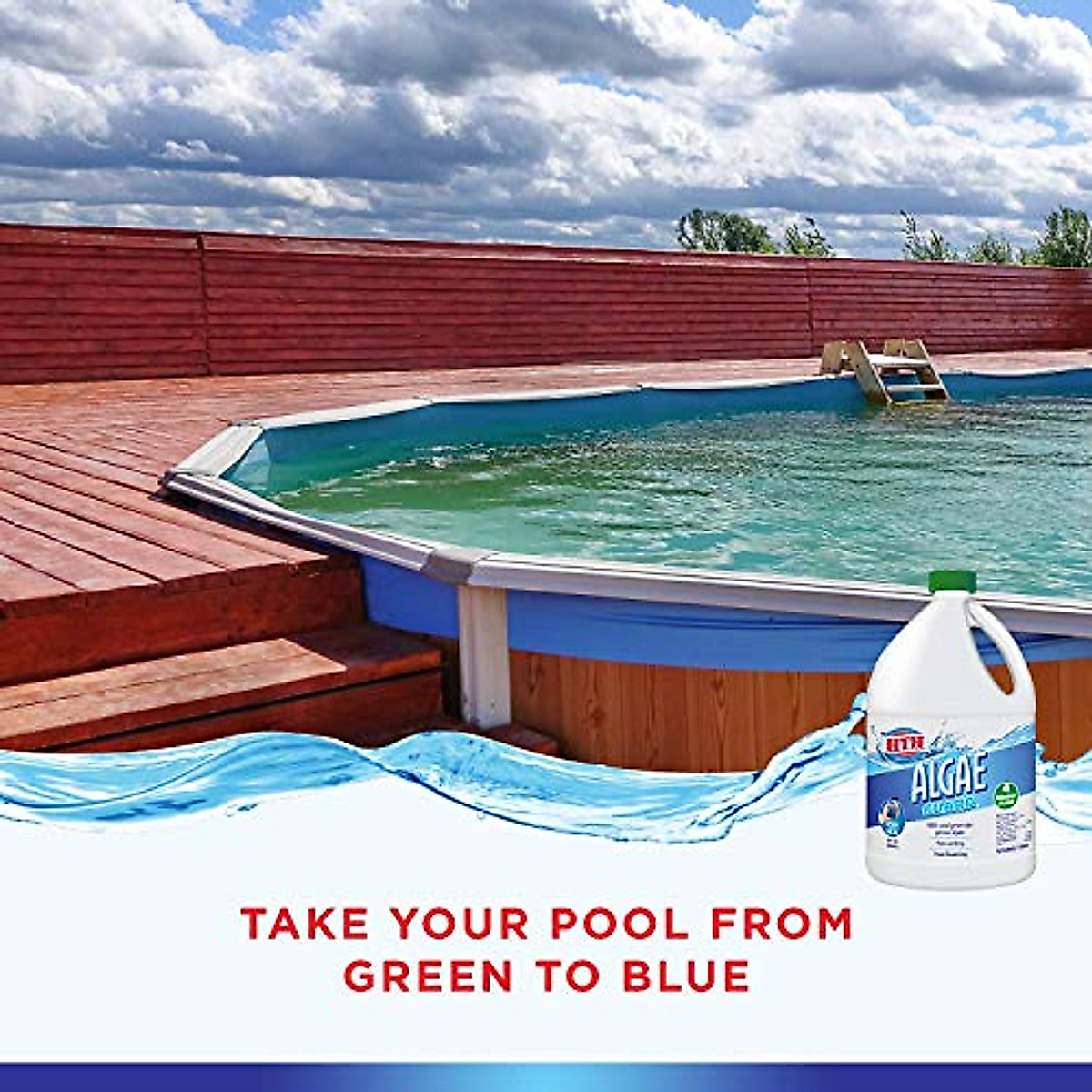 HTH 67034 Algae Guard Swimming Pool Algaecide Cleanser, 1 gal