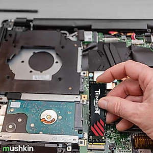 Mushkin Tempest – 2TB PCIe Gen3 x4 NVMe 1.4 – M.2 (2280) Internal Solid State Drive (SSD) – 3D NAND Flash - (MKNSSDTS2TB-D8)