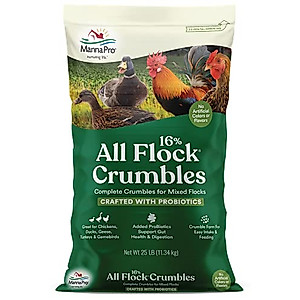 Manna Pro All Flock Crumbles | 16% Protein Level | Complete Feed for Chickens, Ducks, Geese, Turkeys and Gamebirds | Probiotics to Support Digestion | Crumbled Form for Easy Feeding | 25 Pounds