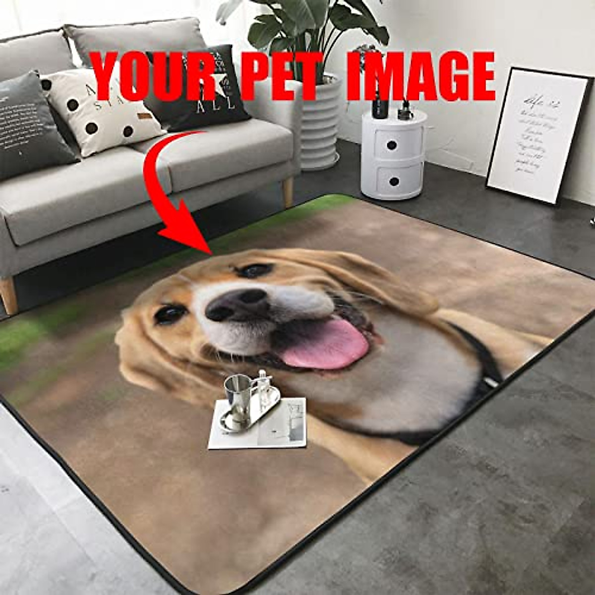 Thecooboy Custom Rug Personalized Add Your Own Logo Image Text Photo Area Carpet Anti Slip Washable Decorative Door Mat for Home Garden Office Upgrade Models 36 x 24 in