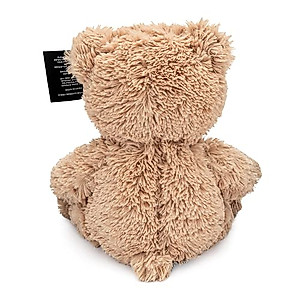 Inventiv Teddy Bear with Pouch, Easily Insert a Recordable Sound Module (Sold Separately), Plush Toy Stuffed Animal (Teddy Bear w/Pouch)