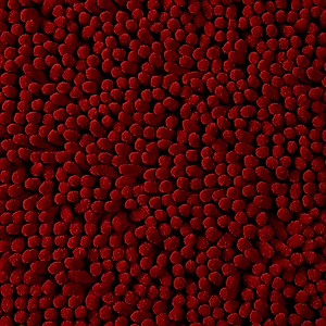 Lavish Home 2 Piece Memory Foam Shag Bath Mat Set - Burgundy