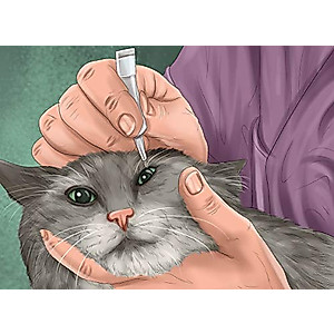 KARRYUNI X2 Pcs 10 ML, Best Pet Eye Drops Cataracts & People Exact Result, Safe & Gentle Formula, Promotes Eye Clarity & Dryness Eye in PPL Pets & All Animals Dogs, Cats Pet Care Eye Ointment Drops