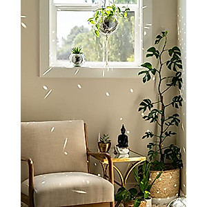 Havenstone Home Hanging Disco Ball Planter 6" with Flat Base - Includes Self-Watering Insert + White Cotton Macrame Plant Hanger- Indoor/Outdoor Plants, Home Décor & Room Décor with Cotton Rope