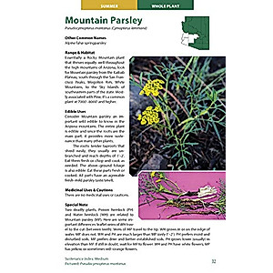 Wild Edible Plants of Arizona