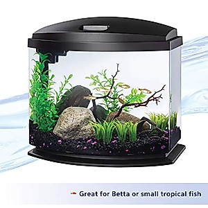 Aqueon LED MiniBow Small Aquarium Fish Tank Kit with SmartClean Technology, Black, 5 Gallon