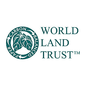 Cherry Art Deco Gift Certificate Cards/Voucher/Gift Coupon Book with Stub 50pages Cardstock 3.9 x 8.3 Inches