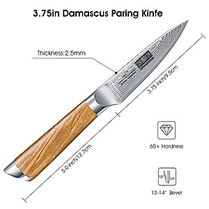 HOSHANHO Damascus Paring Knife 3.75 Inch, Professional 67 Layers Damascus Super Steel Small Fruit Knife, Super Sharp Hand Forged Japanese Paring Knife