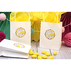 Sweet Summer Lemonade Thank You Sticker Labels, 40 2" Party Circle Stickers by AmandaCreation, Great for Party Favors, Envelope Seals & Goodie Bags