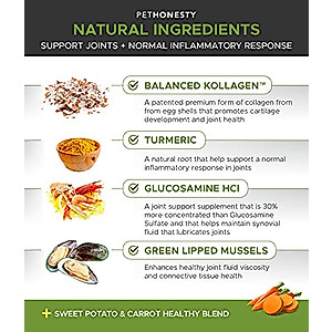 Pet Honesty PureMobility Glucosamine for Dogs - Premium Dog Joint Supplement Support with Glucosamine, Green-Lipped Mussel, Collagen & Turmeric - Advanced Hip & Joint Chews & Pet Joint Support - 60ct