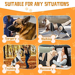 Dog ACL Knee Leg Brace, Dog Hip Brace for Front Torn and Back ACL Hind Rear Legs, Comfortable & Adjustable Tailwind Dog Hip Dysplasia Brace for Dog Arthritis, Luxating Patella with 10X Support (XL)