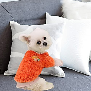 GLSTOY Decorative Outfits Autumn Warm Pattern Winter Stretchy Shirts Sweater Clothes Dogs Cold and Outdoor Clothes: Pet Cloth M Legged Thickening Two Fruit Clothing, Comfortable