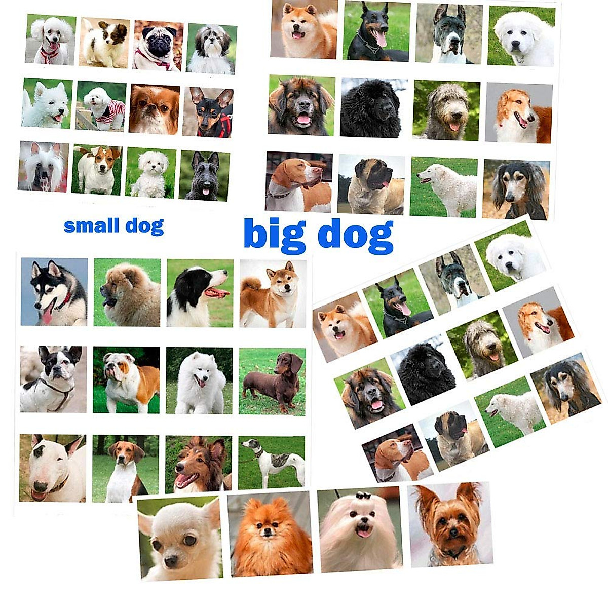 weback Best Flea Comb for Cats and Dogs Set