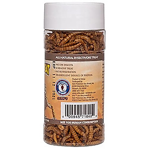 Healthy Herp Insectivore Reptile Treat Mealworms 0.95-Ounce (27 Grams) Jar