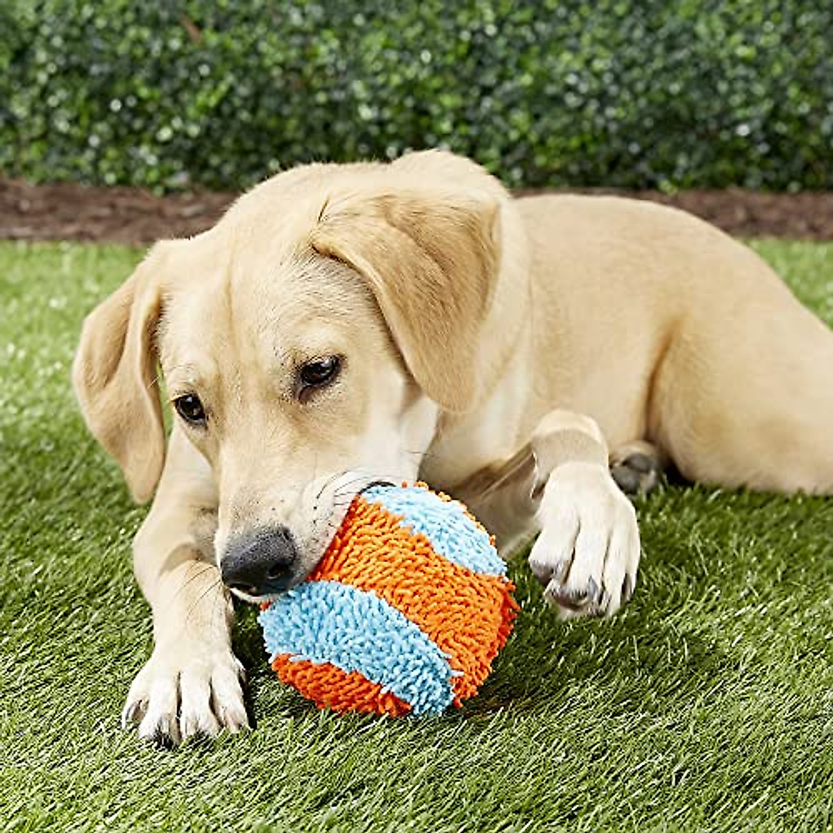Chuckit! Indoor Fetch Ball Dog Toy (4.75 Inch), Orange and Blue