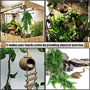 kathson Lizard Coco Den with Ladder, Bearded Dragon Tank Accessories Gecko Coconut Husk Hut with Jungle Climber Vines with Suction Cups Habitat Décor