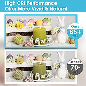 Maylaywood A19 LED Light Bulb Dimmable, 60 Watt Equivalent LED Bulbs, Daylight White 5000K, 900 Lumen, E26 Base, 9W Bright White Light Bulb, 12-Pack