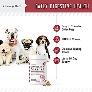 Chew + Heal UTI Treatment Cranberry Chews for Dogs - 120 Soft Chews - Supports Healthy Urinary Tract and Bladder Function - Corrects Imbalances - with Echinacea and Vitamin C