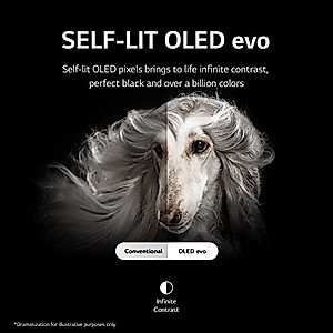 LG 55-Inch Class OLED evo C2 Series Alexa built-in 4K Smart TV, 120Hz Refresh Rate, AI-Powered 4K, Dolby Vision IQ and Dolby Atmos, WiSA Ready, Cloud Gaming (OLED55C2PUA, 2022) (Renewed)