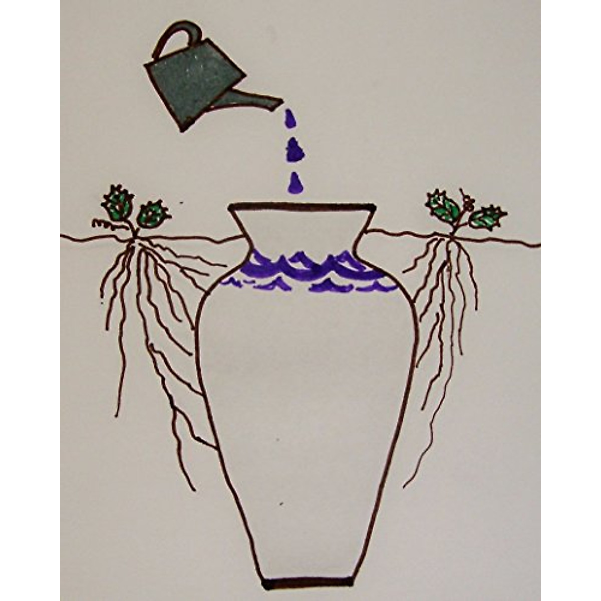 Clay Olla - Pint Sized - Ideal for a 8"-12" Pot