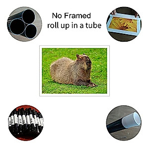 Ddfghei Capybara In The Grass Cute Animal Poster Print Art Picture 9231 Canvas Prints Poster Wall Art For Home Office Decorations Unframed 18"x12"