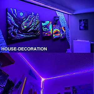 Onforu 32.8ft LED Black Light Strip Kit & Black Lights Bulb 2 Pack, 600 Units Lamp Beads, 12V Flexible Blacklight Fixtures, 10m LED Ribbon, A19 E26 Bulb, 385-400nm