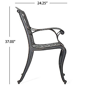 Christopher Knight Home Austin Outdoor Cast Aluminum Dining Chairs, 2-Pcs Set, Shiny Copper