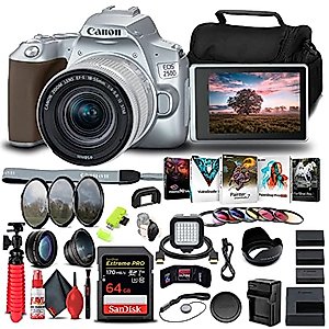 Canon EOS 250D / Rebel SL3 DSLR Camera with 18-55mm Lens (Silver) (3461C001) + 64GB Memory Card + Color Filter Kit + Filter Kit + 2 x LPE17 Battery + External Charger + Card Reader + More (Renewed)