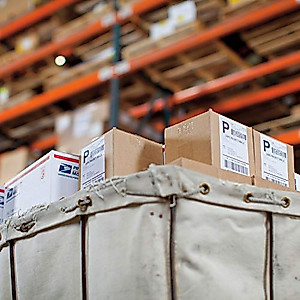 DYMO Authentic LW Extra-Large Shipping Labels for LabelWriter Label Printers, White, 4'' x 6'', 10 Rolls of 220 (2200 Total)