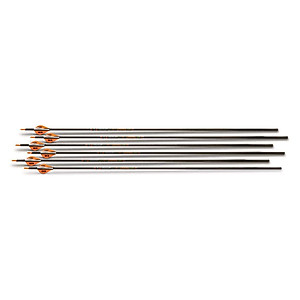 Guide Gear Trophy 31-Inch Carbon Archery Hunting Arrows, Practice Target Arrow for Compound and Recurve Bow by Victory Archery, 6 Pack 400