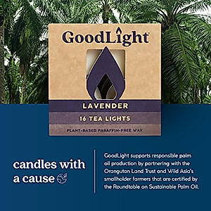 GOODLIGHT Lavender Tea Lights 16 Count, 16 CT