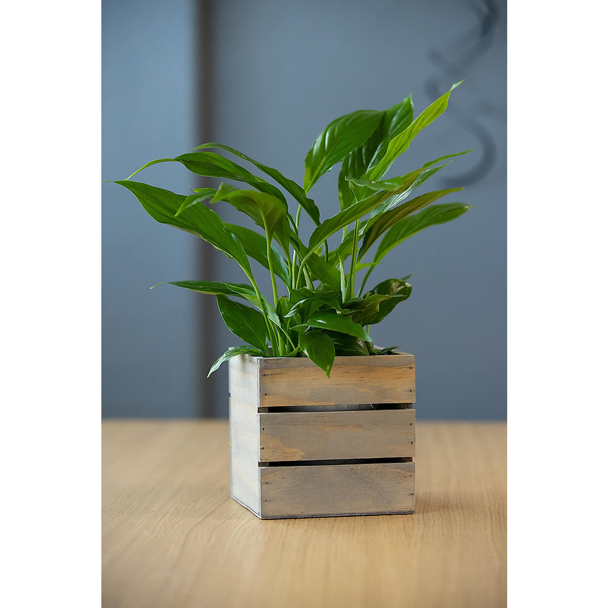 Wood Planter Box with Wine Crate Styled, 5 Inch Square, Rustic Barn Wood, Plastic Liner, Wedding Flowers Holder, Home and Venue Decor, (5x5 Wine Crate Set of 4)