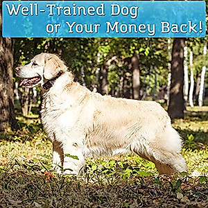 PetSpy P620 Dog Training Shock Collar for Dogs with Vibration, Electric Shock, Beep; Rechargeable and Waterproof Remote Trainer E-Collar - 10-140 lbs