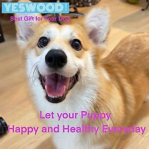 YESWOOD! Puppy Rope Toys for Small Dogs, Rope Candy Toys, Puppy Dental Cleaning Chew Toys Knots Dog Rope Toy for Aggressive Chewers Smart Newborn Pet and High Active Puppies (4 Packs)