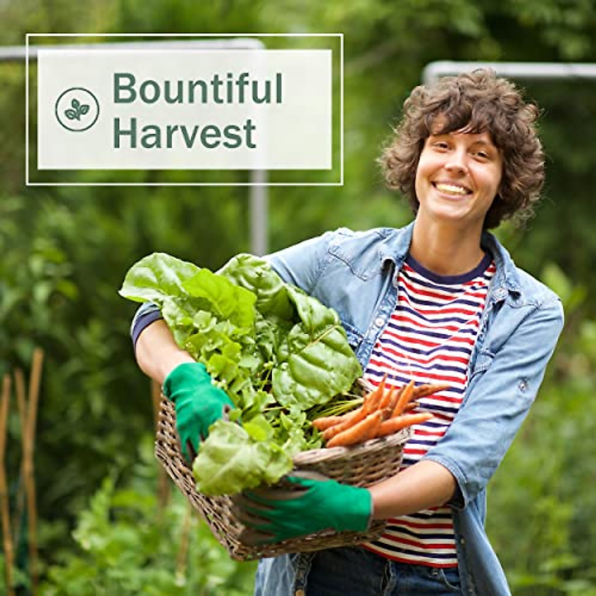 Sow Right Seeds - Greenwave Mustard Greens Seed for Planting - Non-GMO Heirloom Packet with Instructions to Plant and Grow an Outdoor Home Vegetable Garden - Culinary Herb - Wonderful Gardening Gift