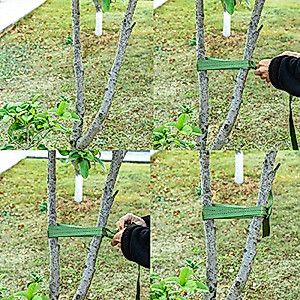 Biubee 108 Feet Long 1 Inch Wide Green Tree Tie Strap- Green Staking and Guying Material Garden Tie Plant Tie for Outdoor Use, 1763 Lbs Strength