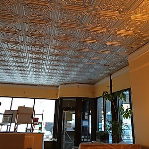 From Plain To Beautiful In Hours DCT04 Elizabethan Shield PVC 2' x 2' Lay-in or Glue-up Ceiling Tile (Covers / 40 sq.ft), Antique White, 10 Piece