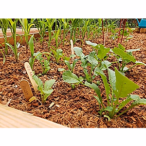 Compressed Coconut Husk Chips 9lbs - Expandable Substrate Block, Coco Coir Fiber Mulch, Reptile Bedding, Potting Soil Mix for Indoor & Outdoor Applications.