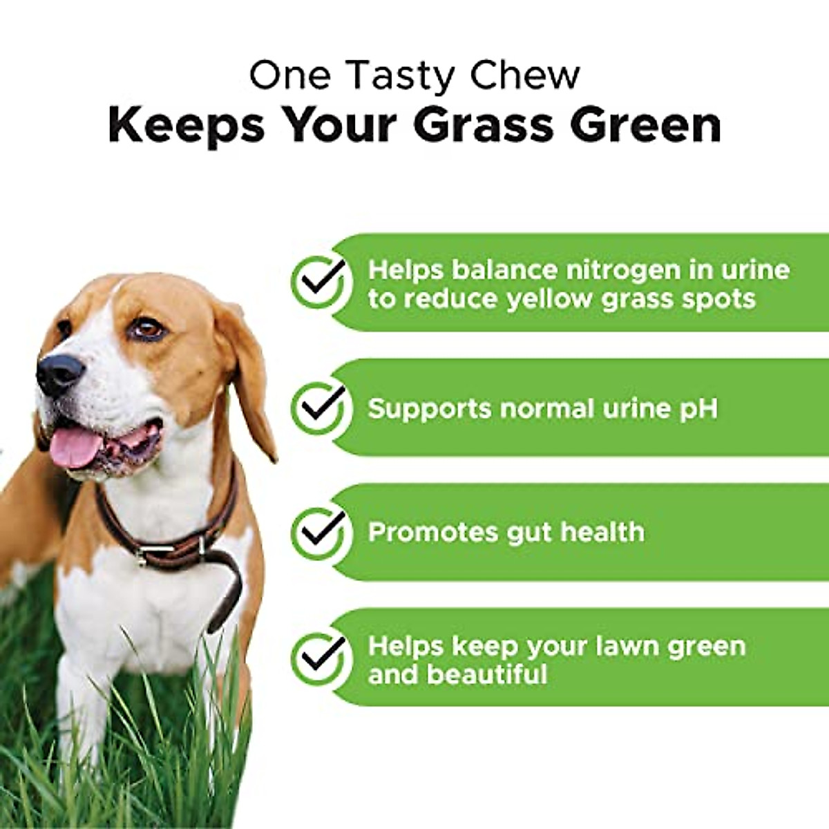PetHonesty Grass Green - Grass Burn Spot Chews for Dogs - Dog Pee Grass Spot Saver Caused by Dog Urine - Dog Urine Neutralizer for Lawn - Cranberry, Apple Cider Vinegar, Dog Rocks - Duck (90 ct)