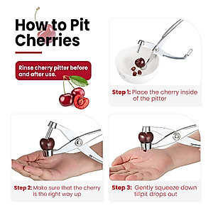 Cherry Pitter Cherry Picker Easy to use,Heavy Duty Cherry Tool all metal construction, easy to clean, for pitting cherries, olives, kitchen tool